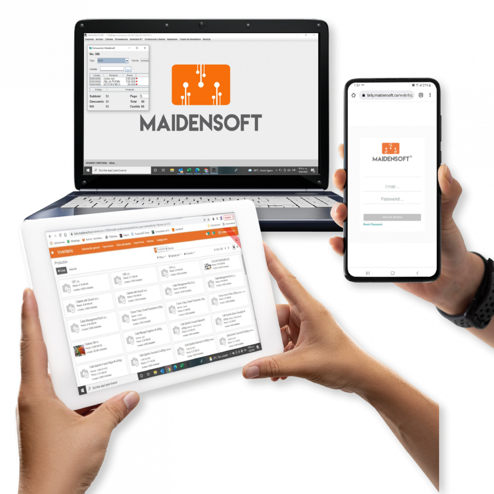 Maidensoft – Otro sitio realizado con WordPress