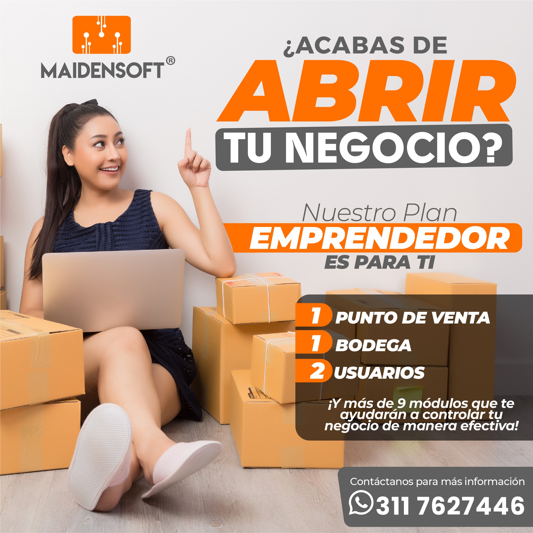 Maidensoft – Otro sitio realizado con WordPress