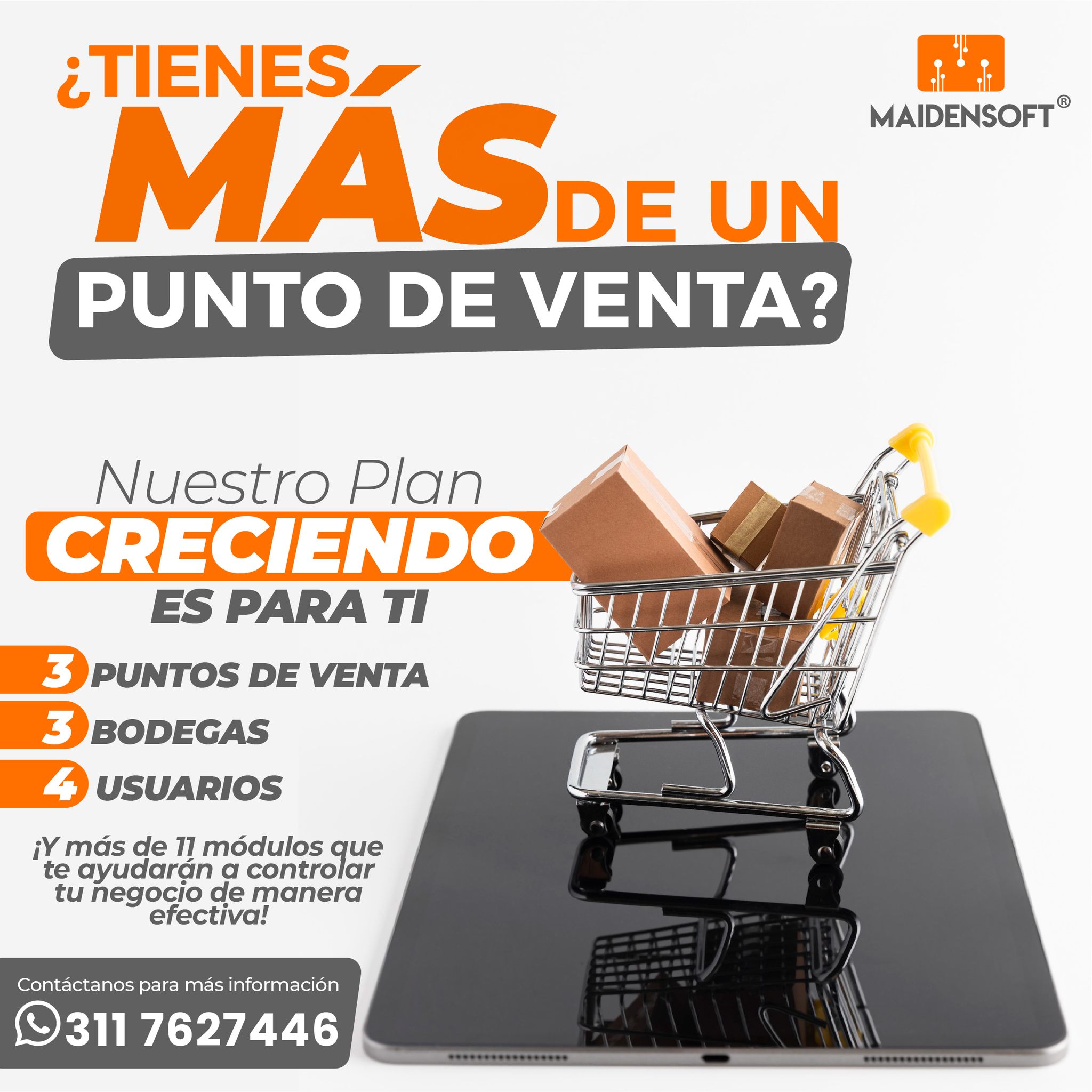 Maidensoft – Otro sitio realizado con WordPress